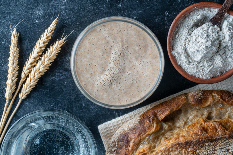 Puratos launches innovation challenge for startups tackling gut health ...